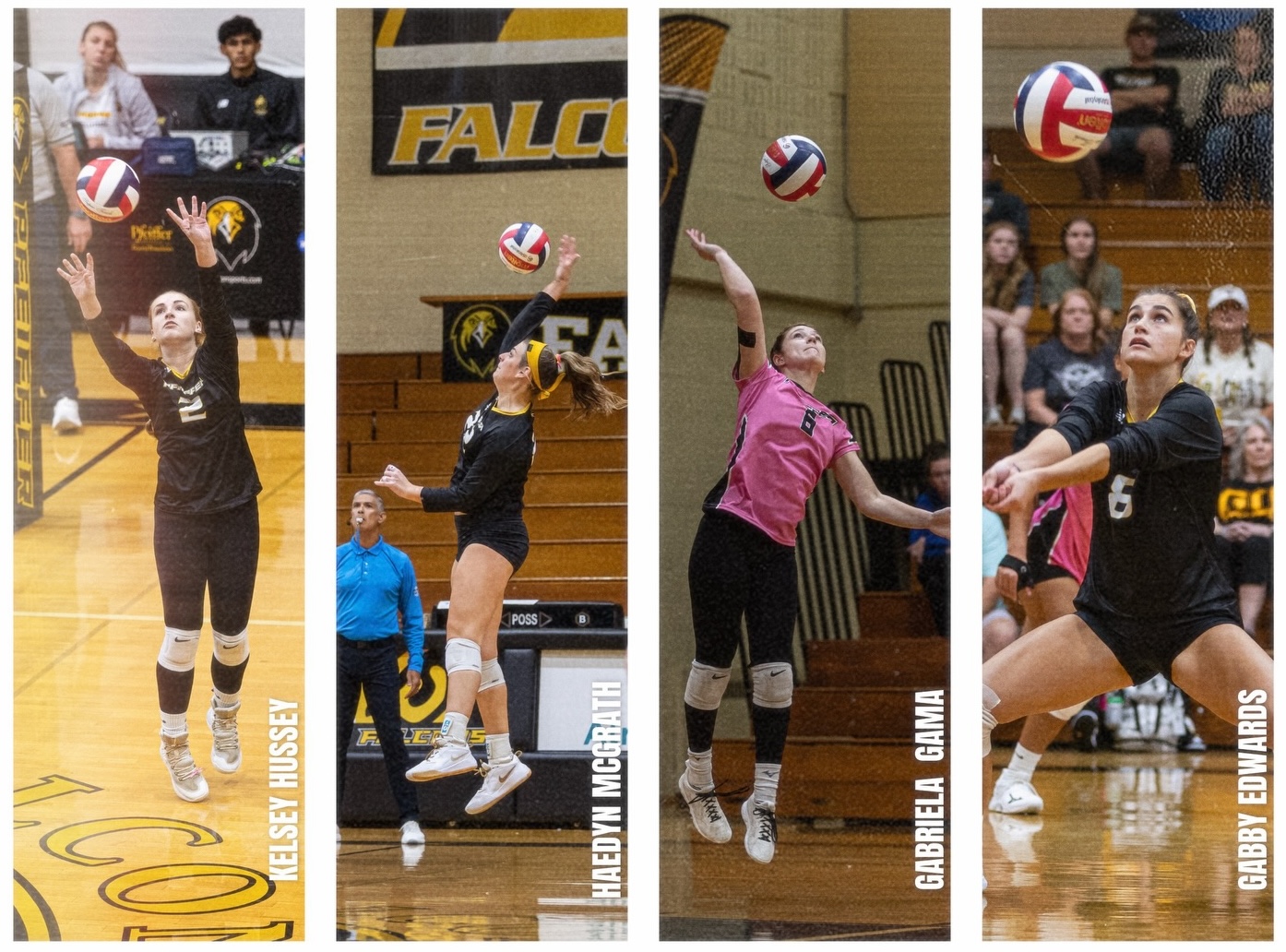 Pfeiffer volleyball players awarded CSC Academic All-District honors ...